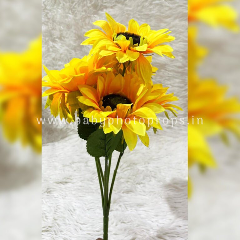 Sun Flowers – Baby Photo Props